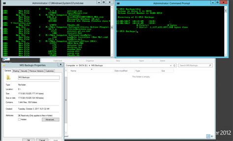 Robocopy Script Copies Data But No Files Are Found Windows