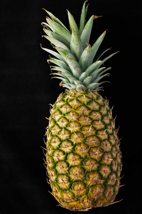 실내 가득한 감귤류 건강한 건강한 식생활 검은색 배경 고립된 과일 과즙이 많은 날 것 노란색 농작물 다이어트 달콤한 맛있는 밝은 비건 채식