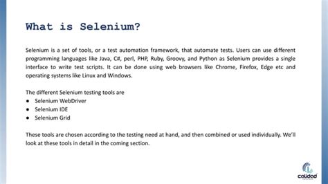 A Simple Guide To Selenium Software Testing Ppt