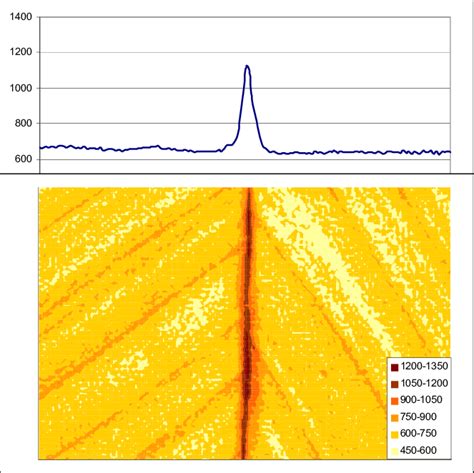 4 X Ray Microdensitometry Map Of Friction Welded Birch Wood After Final