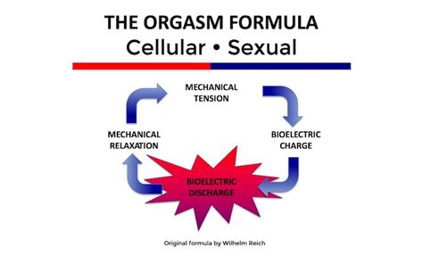 What Is Sexual Energy Michael H Hallett