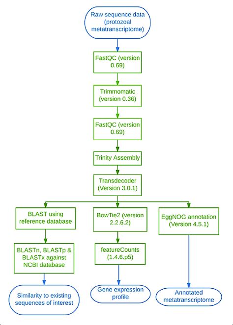 Diagrammatic Representation Of The Workflow Employed On The Galaxy