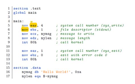 Assembler Verstehen Section Data Computer Informatik