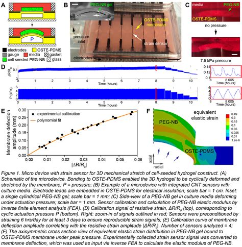 Frontiers A Microfabricated Platform With Hydrogel Arrays And On Chip