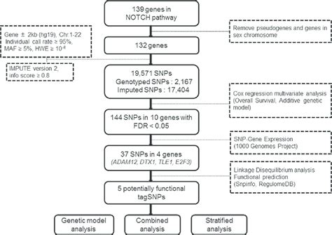 Research Workflow Chart Download Scientific Diagram