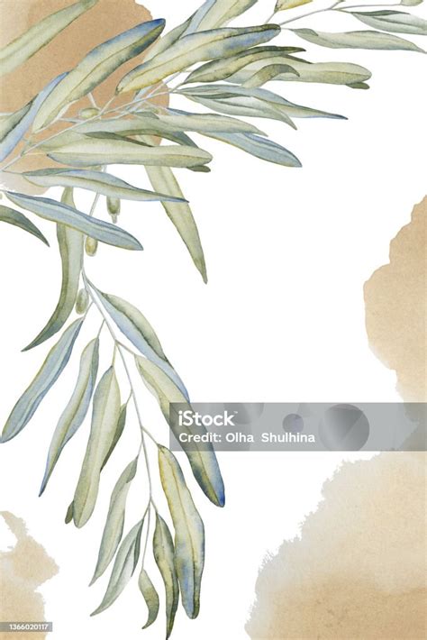 잎과 베이지 색 추상적 인 반점이있는 야생 올리브 가지의 수채화 손으로 그린 식물 그림 벽 예술 보호 인테리어 페인팅 은 코퍼럴과 녹색색 엽서 명함을 좋아합니다 배경 주제에