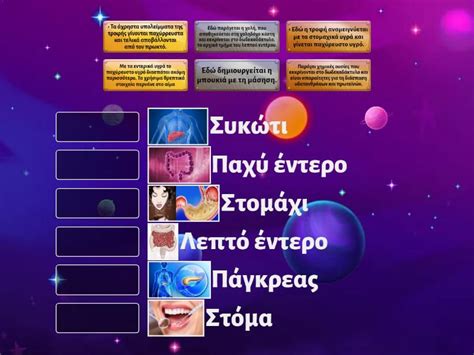 φυσικη ε δημοτικου πεπτικο συστημα Αντιστοίχιση