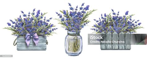 라벤더 꽃과 가지가 활과 유리 병에 나무 상자에 꽃다발 형태로 있습니다 수채화 그림입니다 라벤더 스파 컬렉션의 작곡 세트 장식용