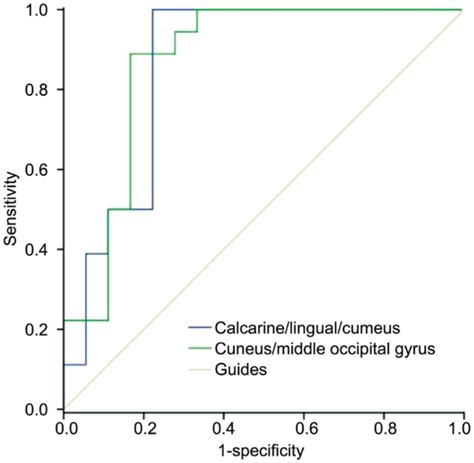 Reduction In Interhemispheric Functional Connectivity In The Dorsal