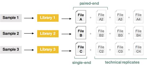 Accepted Raw Microarray Files Formats