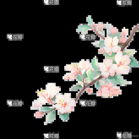 植物系列工笔画桃花元素素材 花瓣网
