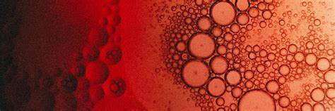 Chemical Processing Solutions For Safety And Efficiency