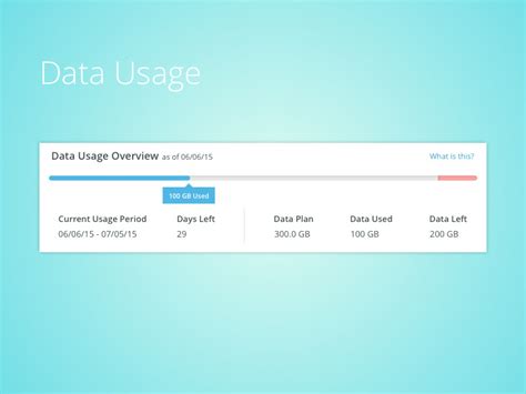 Data Usage Meter 1 By Hannah Lee Barganier On Dribbble