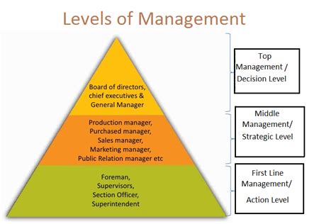 Levels Of Hierarchy