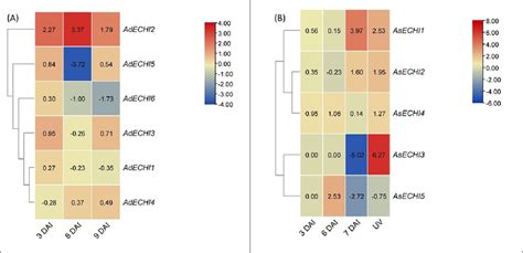 Heatmap Of Relative Rna Seq Expression Of Asechi1 Orthologous Genes A