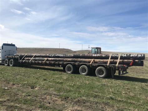 Class 1 Driver Agriculture Drivers And Security Calgary Kijiji