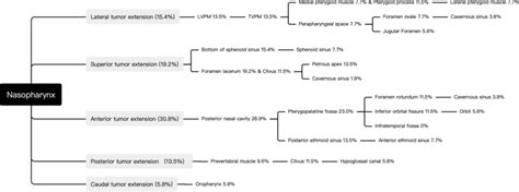 The Stepwise Pattern And Pathways Of Local Recurrence Of Nasopharyngeal