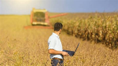 Github Unnimayabalachandran Crop Prediction And Detection