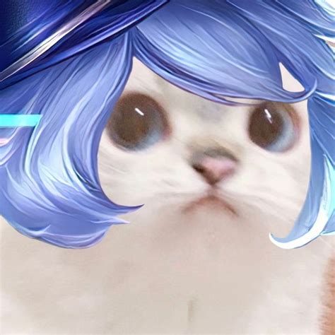 Pp Kucing Ml 38 Koleksi Gambar