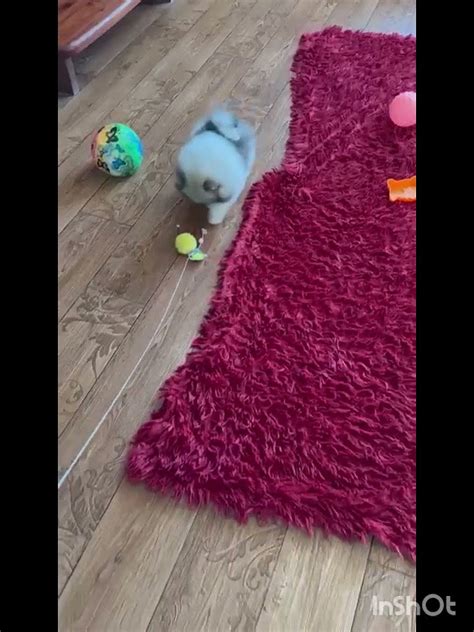 малыш ждет своих мам пап 🔥🔥🔥 Youtube