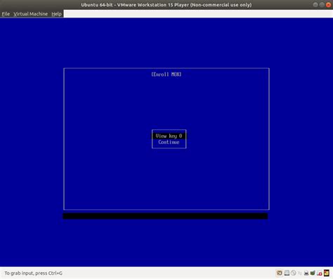 Kernel Mok Management Will Not Load On Boot Ask Ubuntu