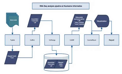 Mrna Sequencing Service In Hyderabad Id 21587680733