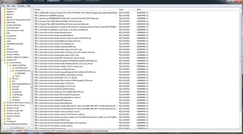 Windows Compatibility Information Leak