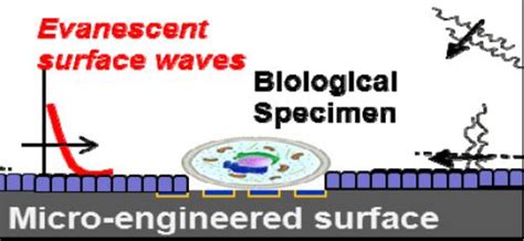 Figure D7 From Ultrasonic Subwavelength Acoustic Focusing And Imaging