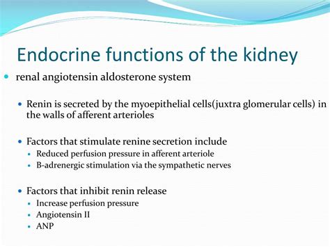 Ppt Renal Physiology Powerpoint Presentation Free Download Id5056910