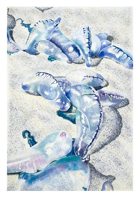 Artist Kate Endacott — Boynes Artist Award