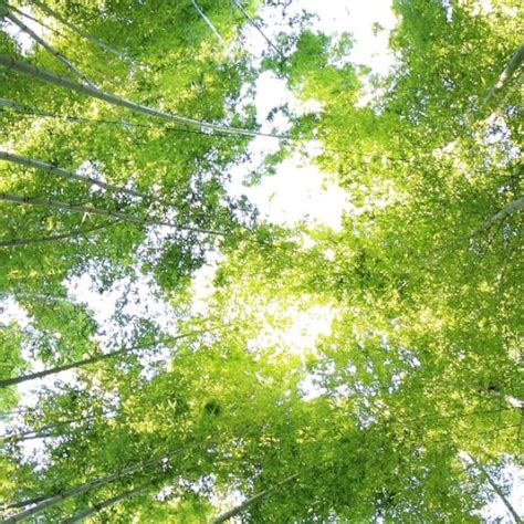 谷歌抓取工具（谷歌怎么抓取网页视频）flash搜索引擎技术