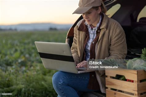 금발 포니테일과 모자를 쓴 여자는 차 트렁크에 앉아 노트북에서 일하고 야채가 있는 상자는 그녀 옆에 서 있다 25 29세에 대한 스톡 사진 및 기타 이미지 Istock