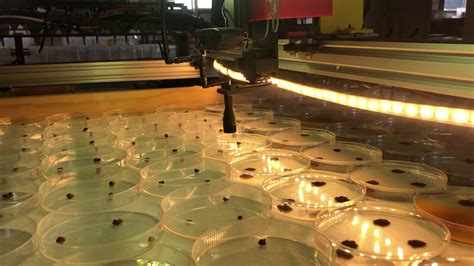 Call To Redefine Soil Constraints GroundCover