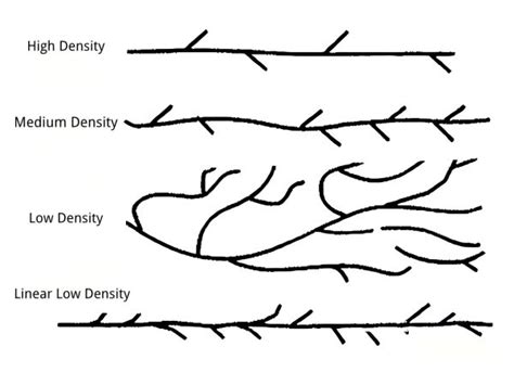 What Is Hdpe Everything You Need To Know