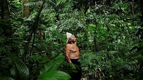 Amazon Summit In Brazil Begins Today Why The Rainforest Is Important