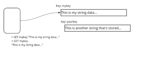 Redis Data Types The Basics The New Stack