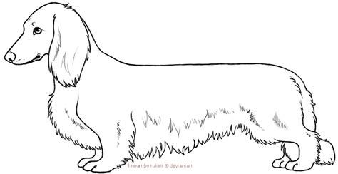 Free Dachshund Long Haired Coloring Page