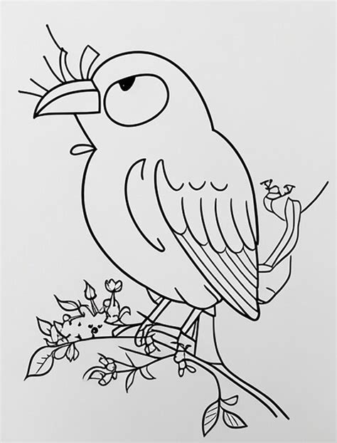 아이들을 위한 귀여운 새 색칠하기 프리미엄 사진