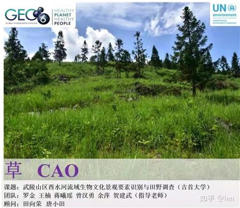 UNEP 课题调研之学习进行时 知乎