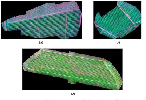 Figure 12 From A Methodology For The Automated Delineation Of Crop Tree