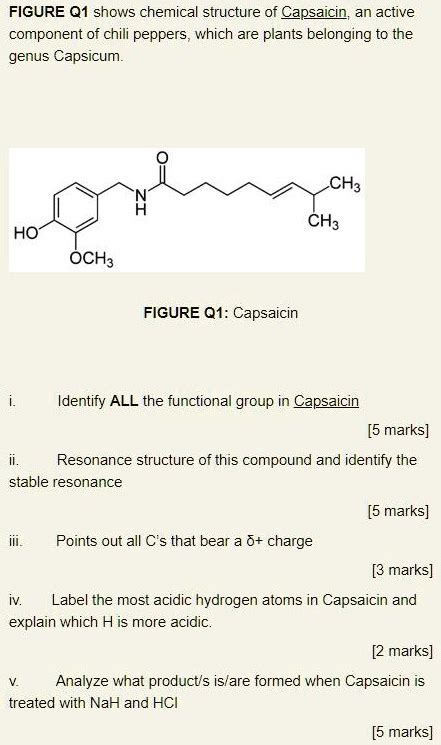 Figure Q1 Shows Chemical Structure Of Capsaicin An Active Component Of Chili Peppers Which Are