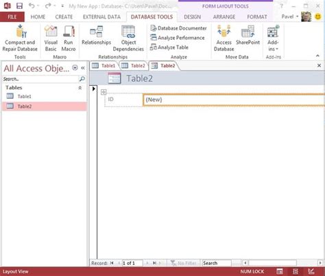 Access 2013 Školení Konzultace