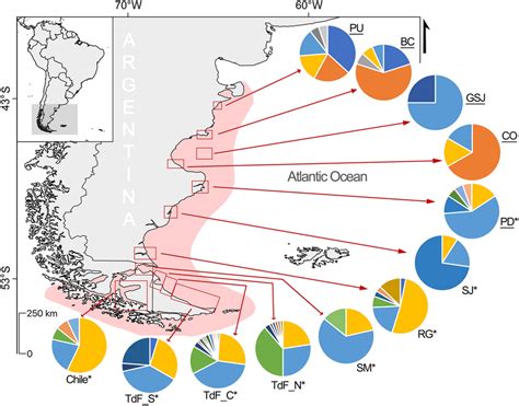 Study Area Showing Cephalorhynchus Commersonii Distribution In Red