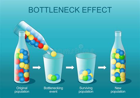 Bottleneck Effect Graph