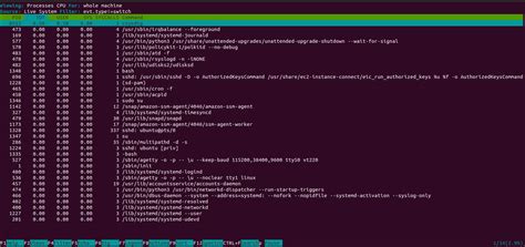 Steps To Setup Sysdig To Monitor Linux System On Ubuntu
