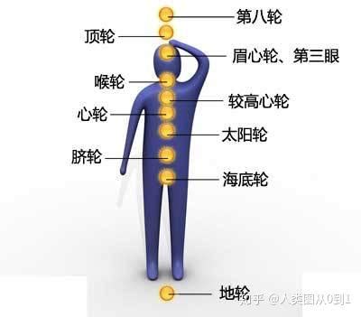 人类图九大能量中心之根部中心 知乎