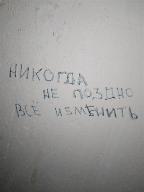 Надписи на стенах Небольшие цитаты Случайные цитаты Нормальные цитаты