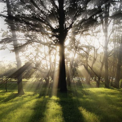 Gay Hendricks And Kathlyn Hendricks On Sex And Money The Hendricks Institute Inc Posted On