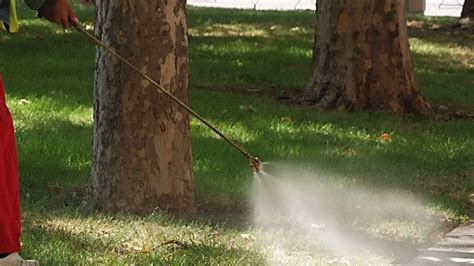 ТВ Община Димитровград планира да извърши дезакаризация на тревни площи против кърлежи и