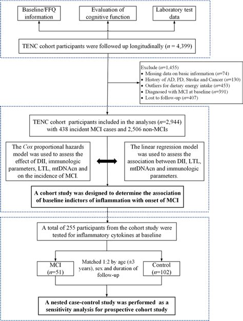 Flow Diagram Of The Study Process Abbreviations Ffq Food Frequency